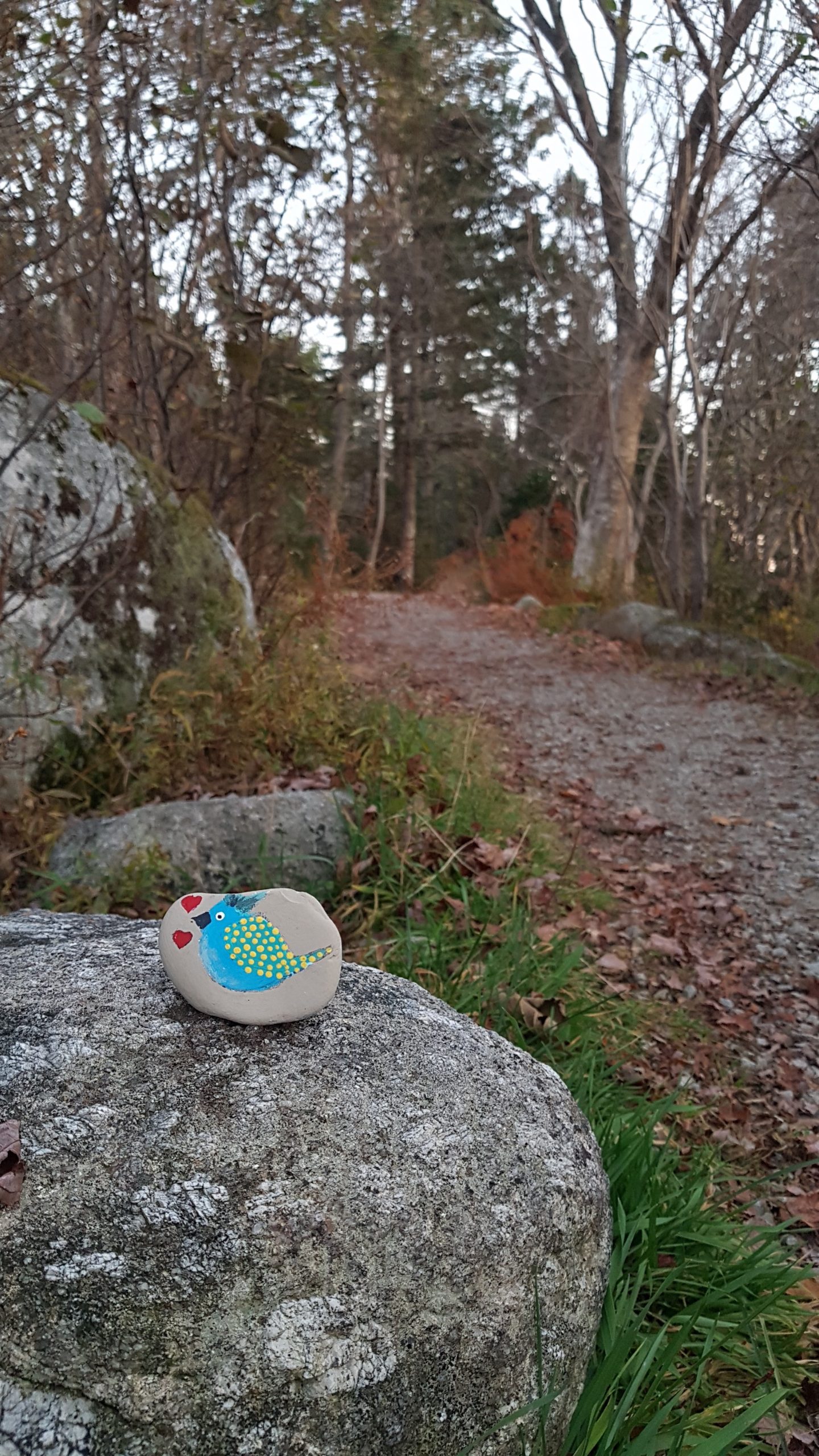 Graves Island Hiking Trail - Simple Local Life